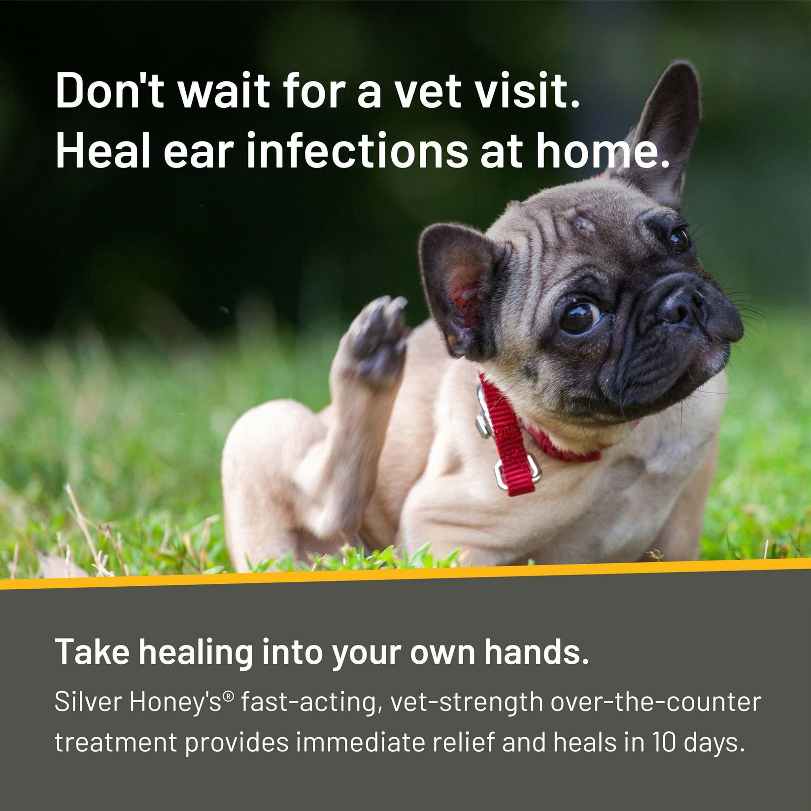 Rapid Ear Care Vet Strength Ear Treatment – Silver Honey Products