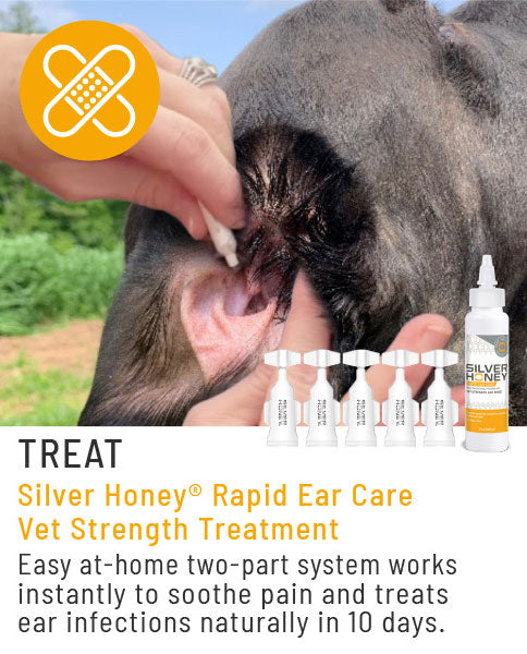 Rapid Ear Care Vet Strength Ear Treatment – Silver Honey Products